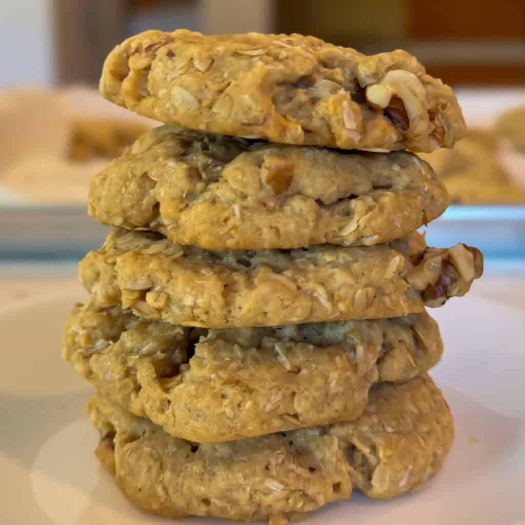 Best Oatmeal Coconut Walnut Cookies - Watch Learn Eat